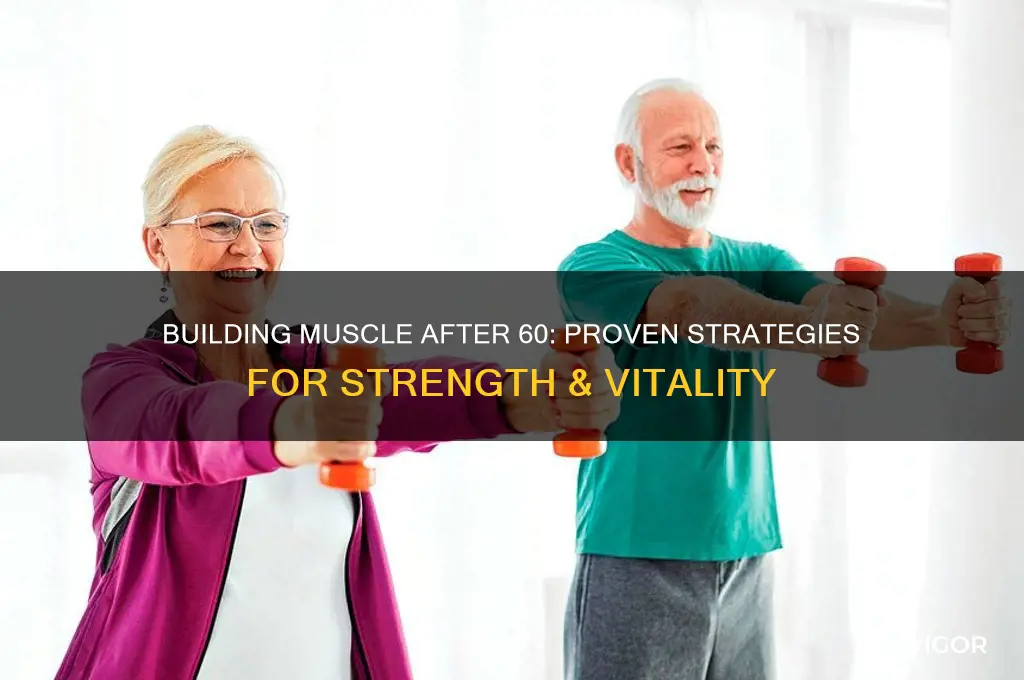 Building Muscle After 60: Proven Strategies For Strength & Vitality ...