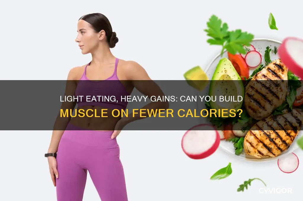 Light Eating, Heavy Gains: Can You Build Muscle On Fewer Calories ...