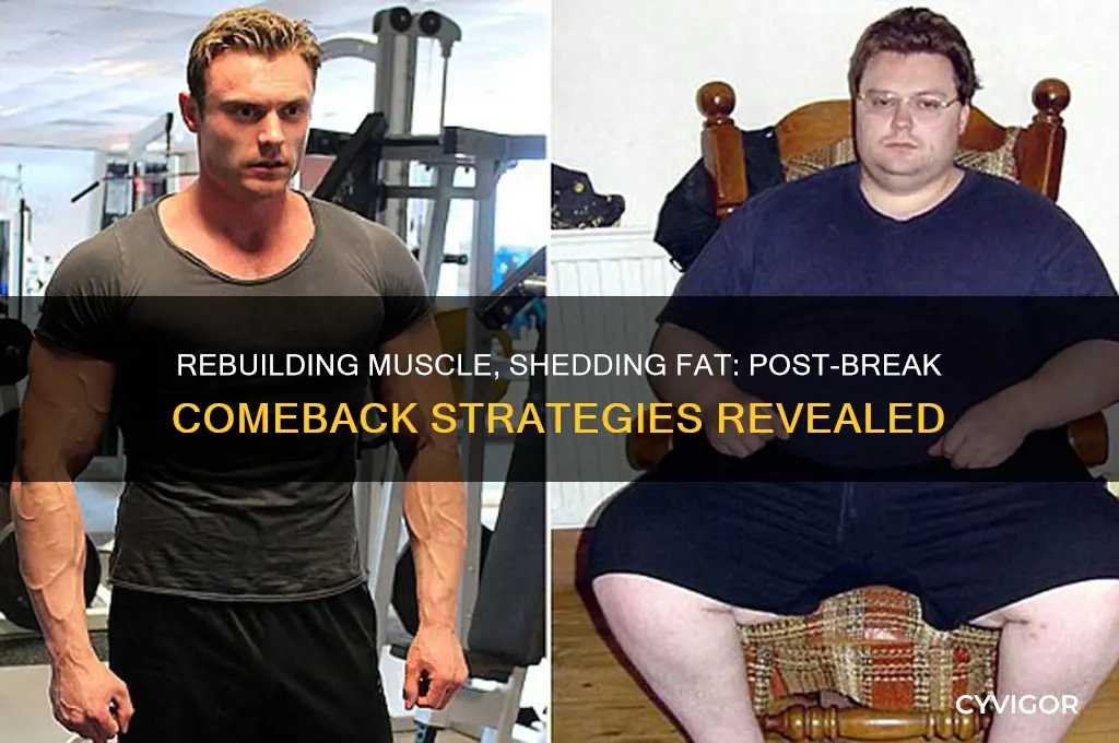Rebuilding Muscle, Shedding Fat: Post-Break Comeback Strategies ...