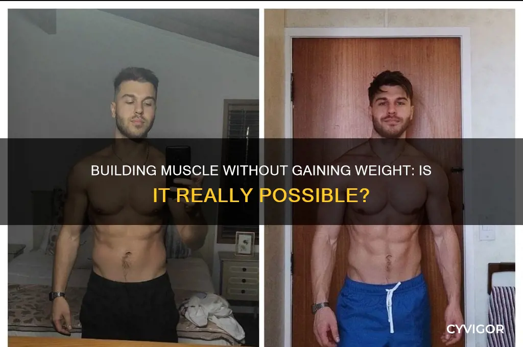 Building Muscle Without Gaining Weight: Is It Really Possible? | CyVigor