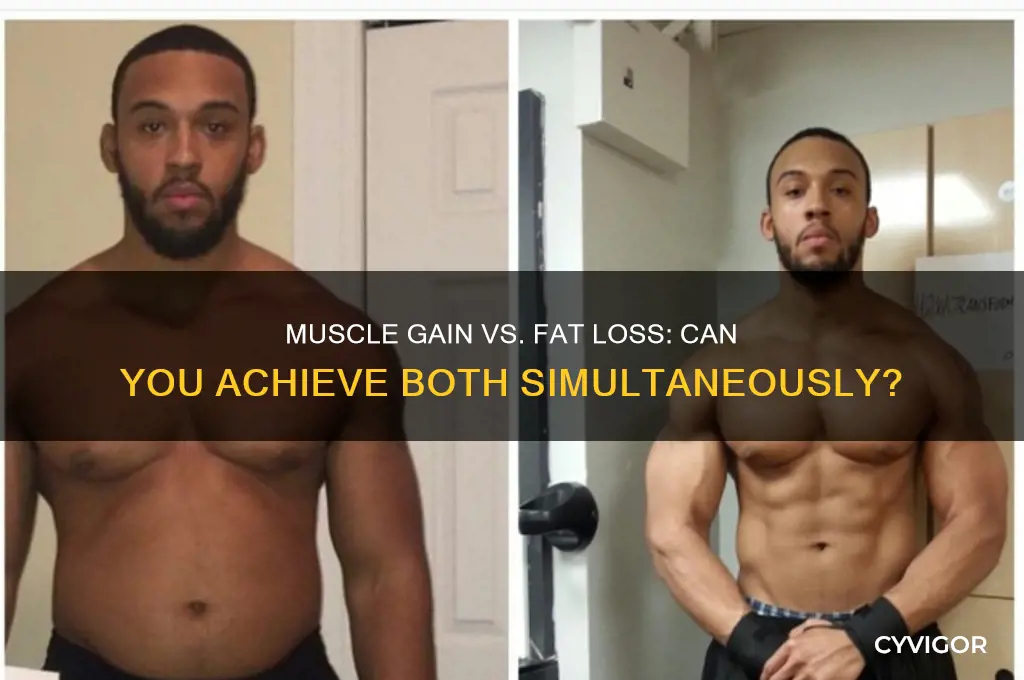 Muscle Gain Vs. Fat Loss: Can You Achieve Both Simultaneously? | CyVigor