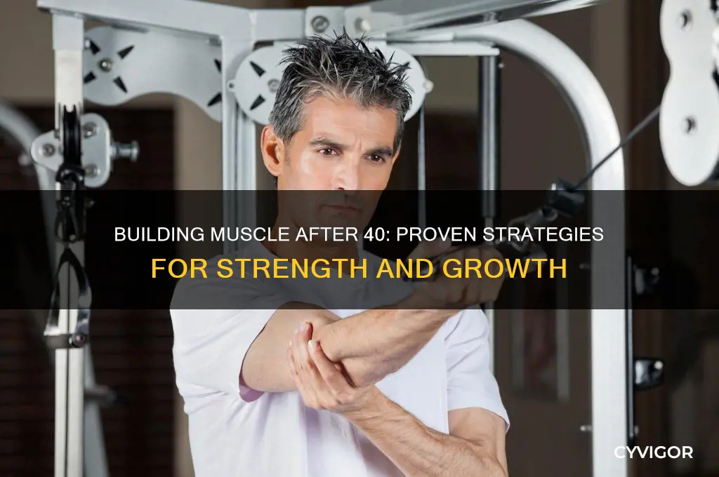 Building Muscle After 40: Proven Strategies For Strength And Growth ...