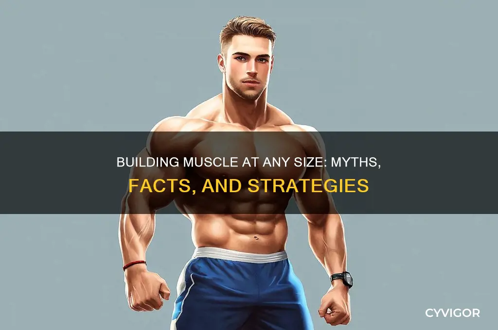 Building Muscle At Any Size: Myths, Facts, And Strategies | CyVigor