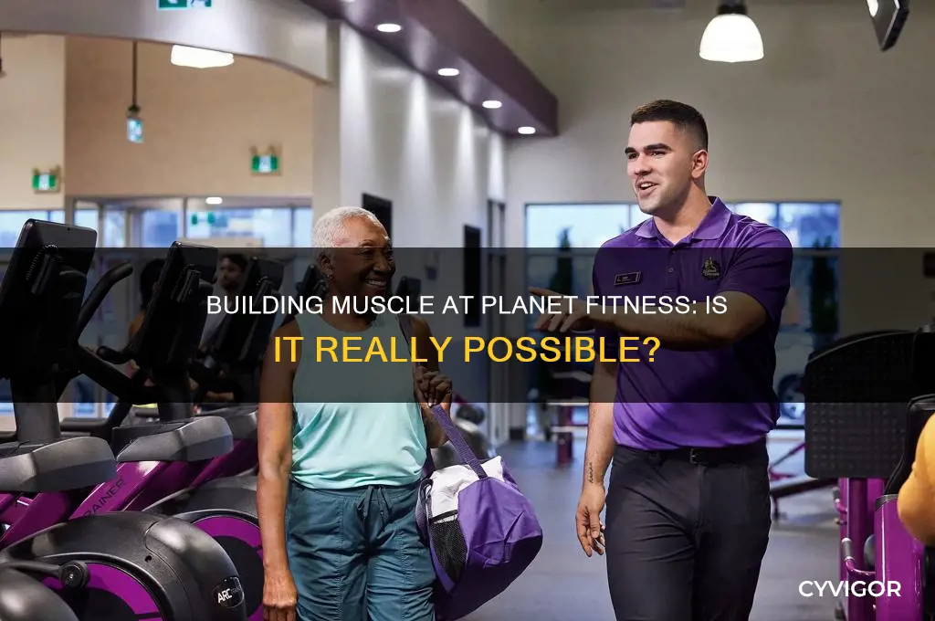 Building Muscle At Planet Fitness: Is It Really Possible? | CyVigor
