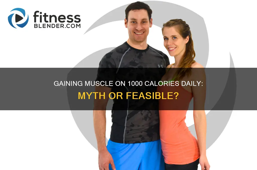 Gaining Muscle On 1000 Calories Daily: Myth Or Feasible? | CyVigor