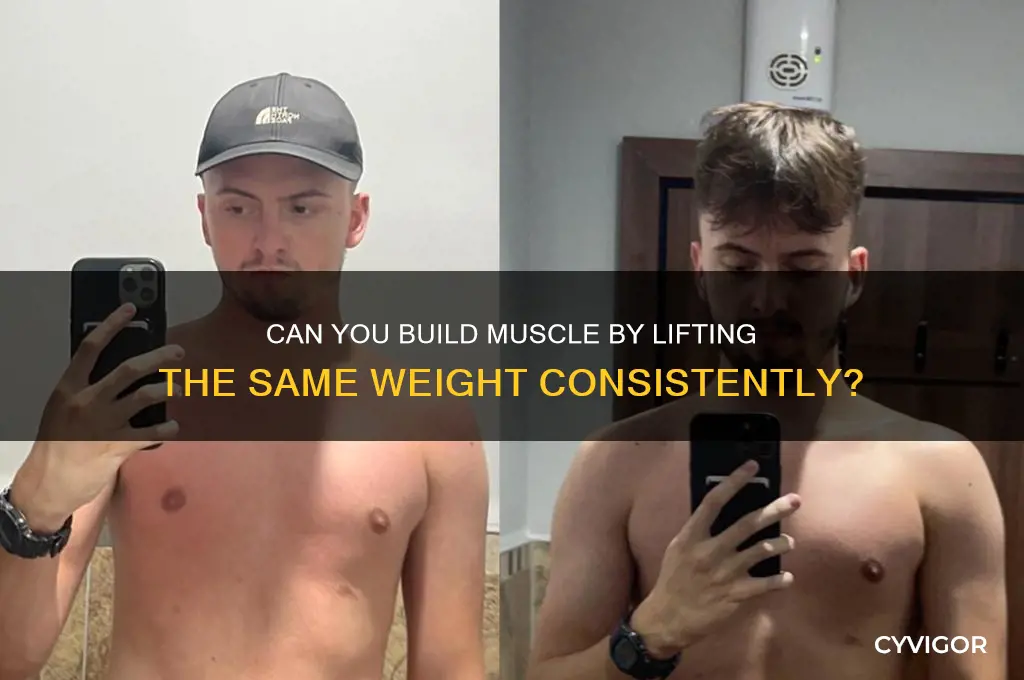 Can You Build Muscle By Lifting The Same Weight Consistently? | CyVigor