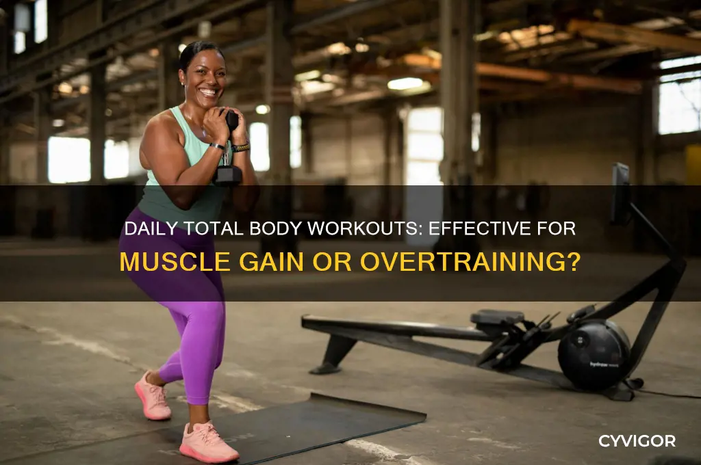 Daily Total Body Workouts: Effective For Muscle Gain Or Overtraining ...