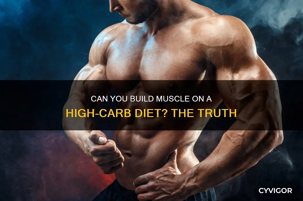 Can You Build Muscle On A High-Carb Diet? The Truth | CyVigor