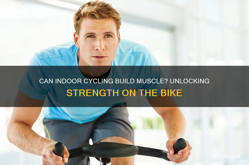 Can Indoor Cycling Build Muscle? Unlocking Strength On The Bike | CyVigor