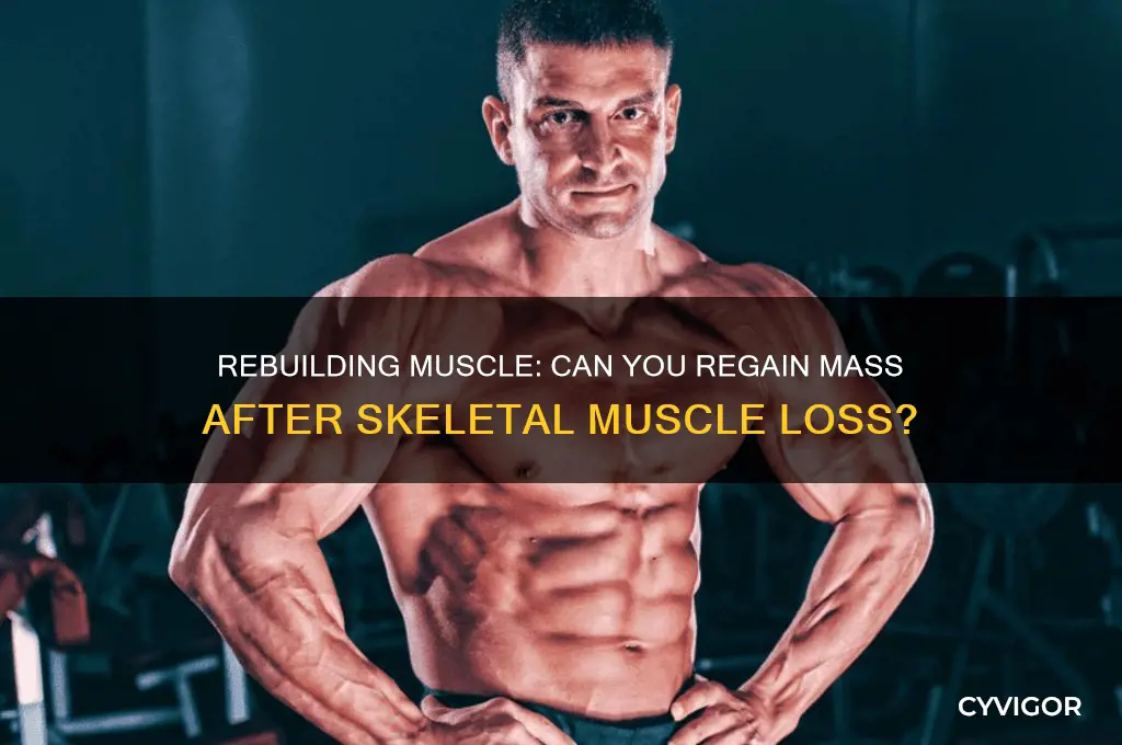 Rebuilding Muscle: Can You Regain Mass After Skeletal Muscle Loss ...