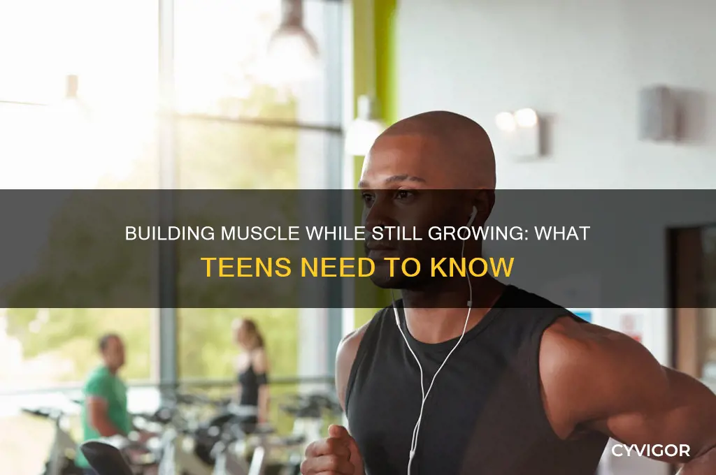 Building Muscle While Still Growing: What Teens Need To Know | CyVigor