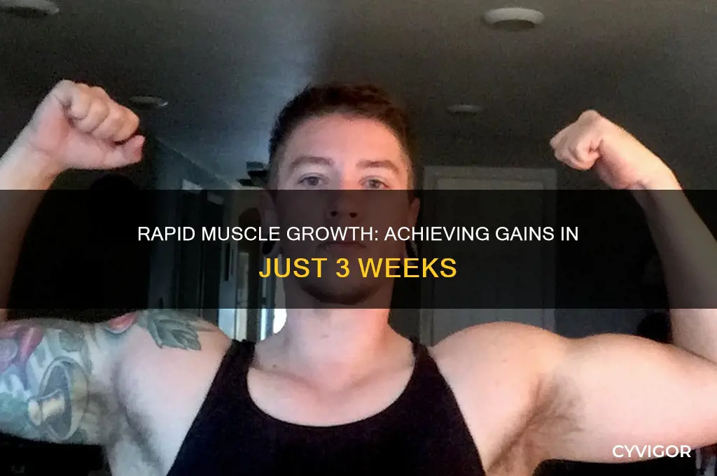 Rapid Muscle Growth: Achieving Gains In Just 3 Weeks | CyVigor