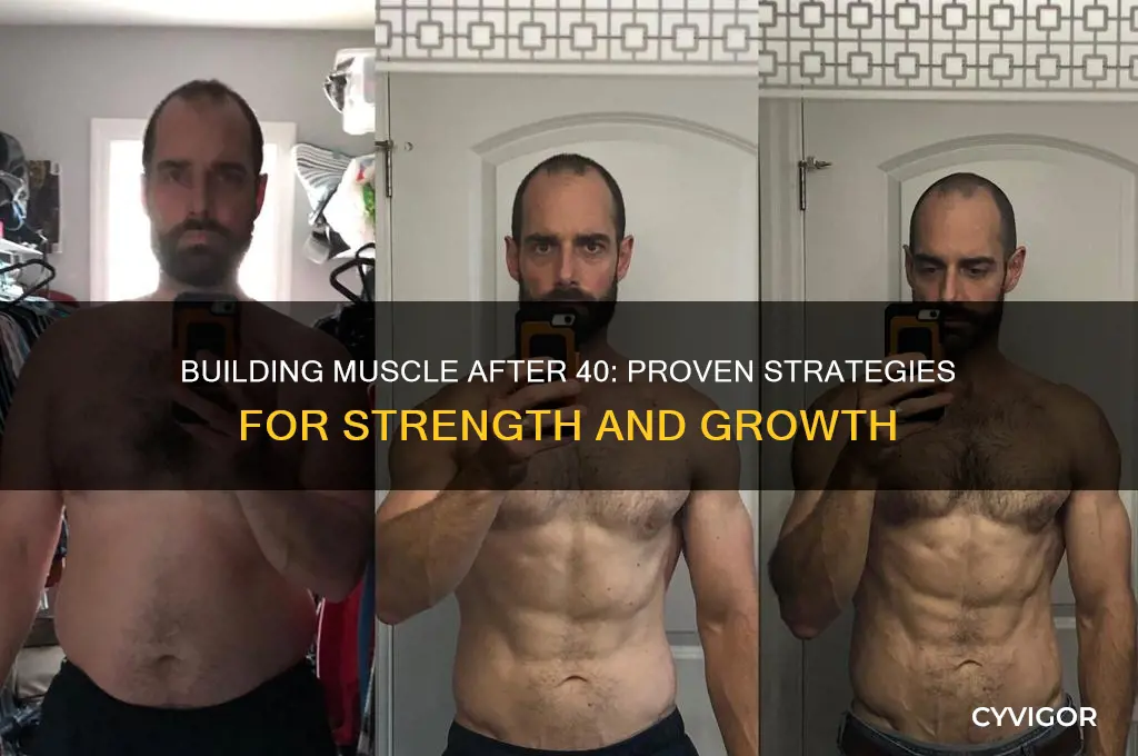 Building Muscle After 40: Proven Strategies For Strength And Growth ...