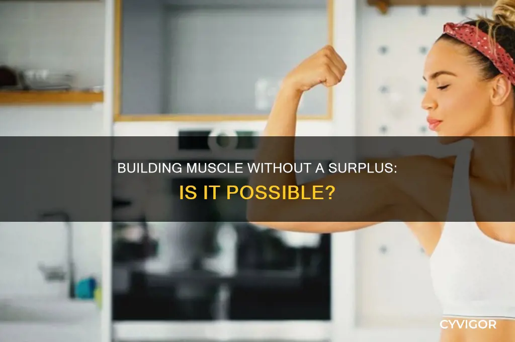 Building Muscle Without A Surplus: Is It Possible? | CyVigor