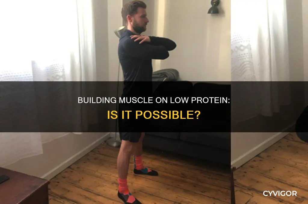Building Muscle On Low Protein: Is It Possible? | CyVigor