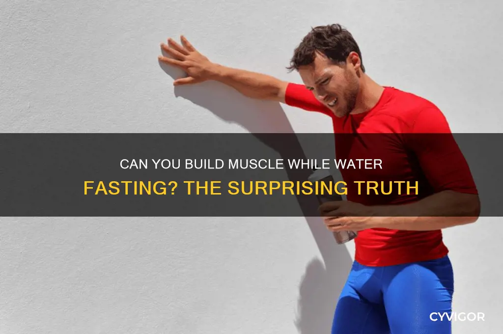 Can You Build Muscle While Water Fasting? The Surprising Truth | CyVigor