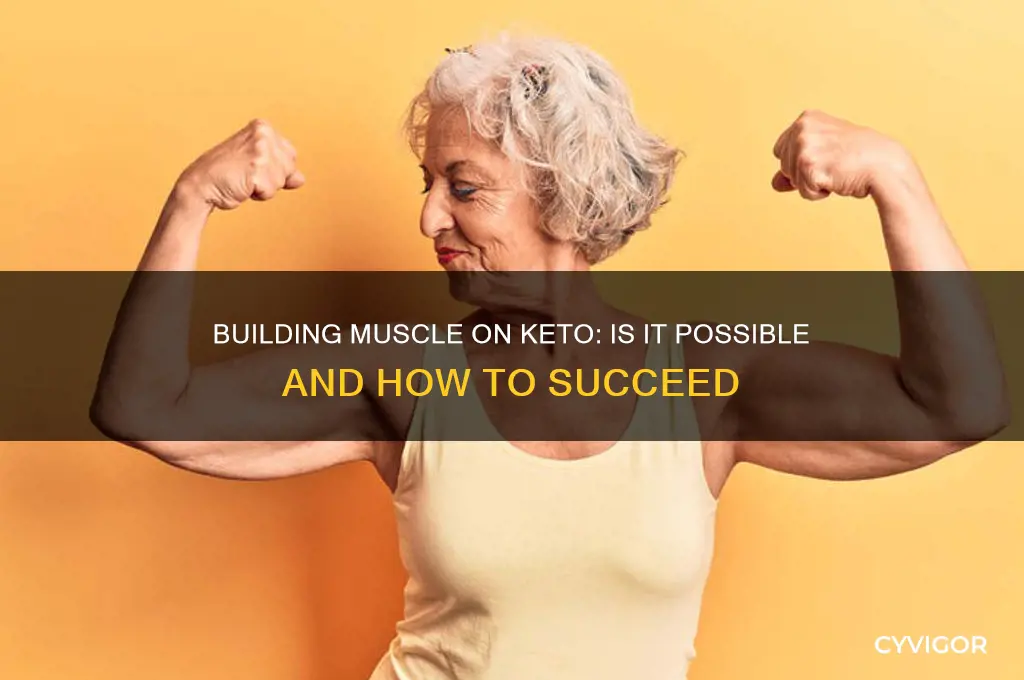 Building Muscle On Keto: Is It Possible And How To Succeed | CyVigor