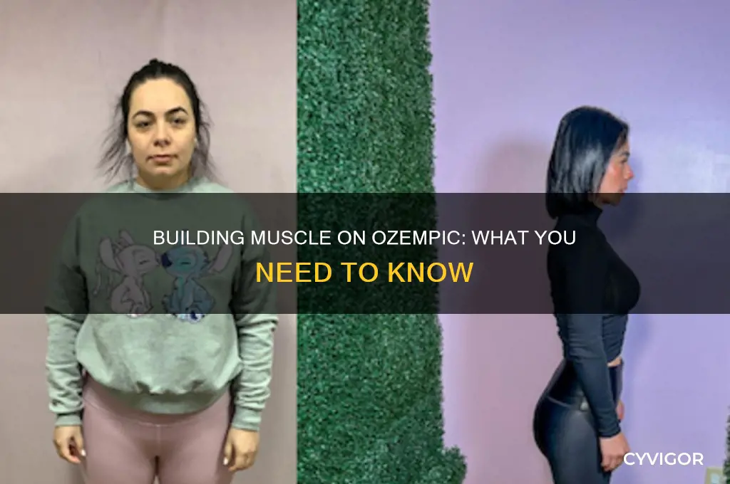 Building Muscle On Ozempic: What You Need To Know | CyVigor