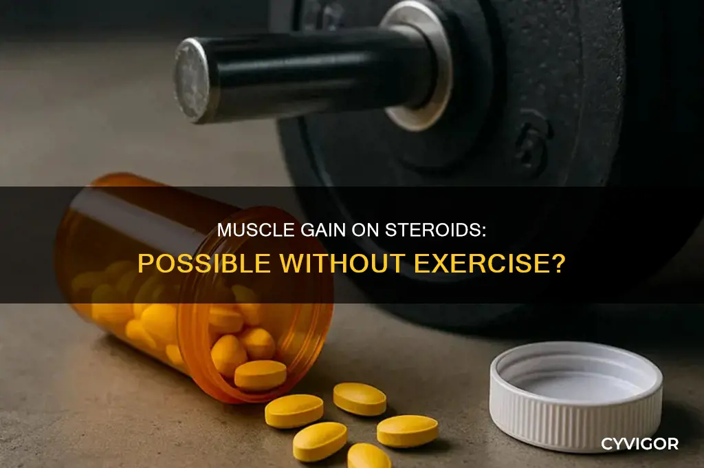 Muscle Gain On Steroids: Possible Without Exercise? | CyVigor