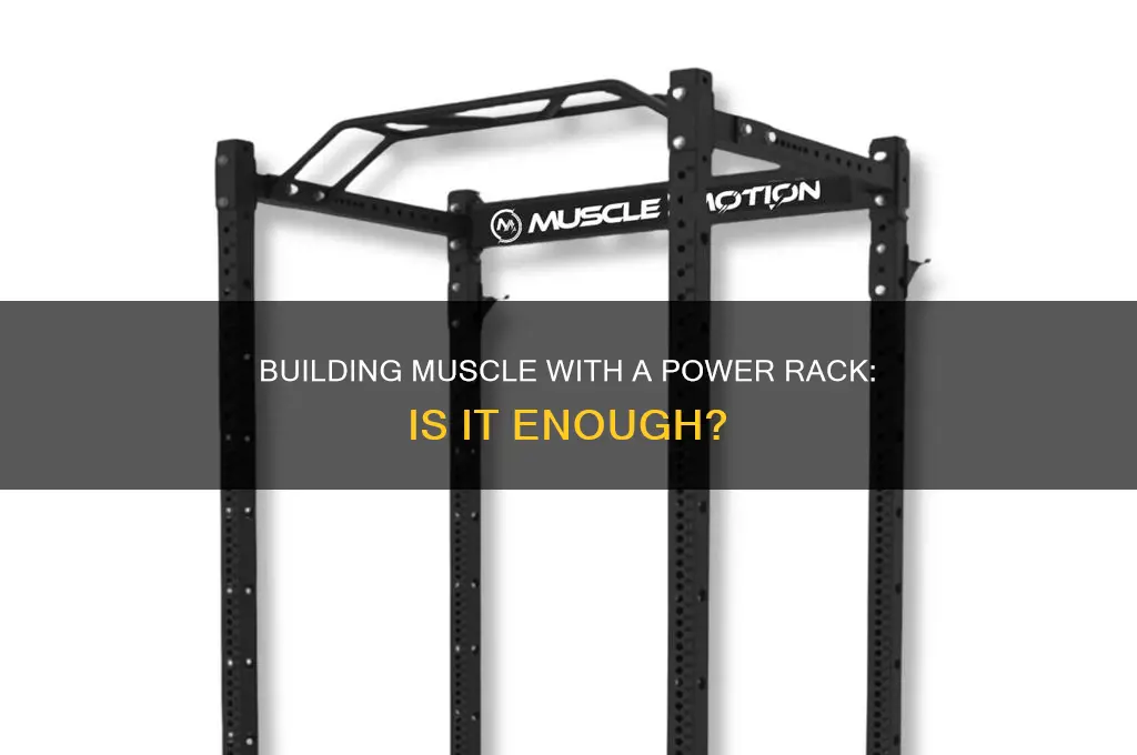 Building Muscle With A Power Rack: Is It Enough? | CyVigor