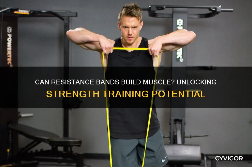 Can Resistance Bands Build Muscle? Unlocking Strength Training ...