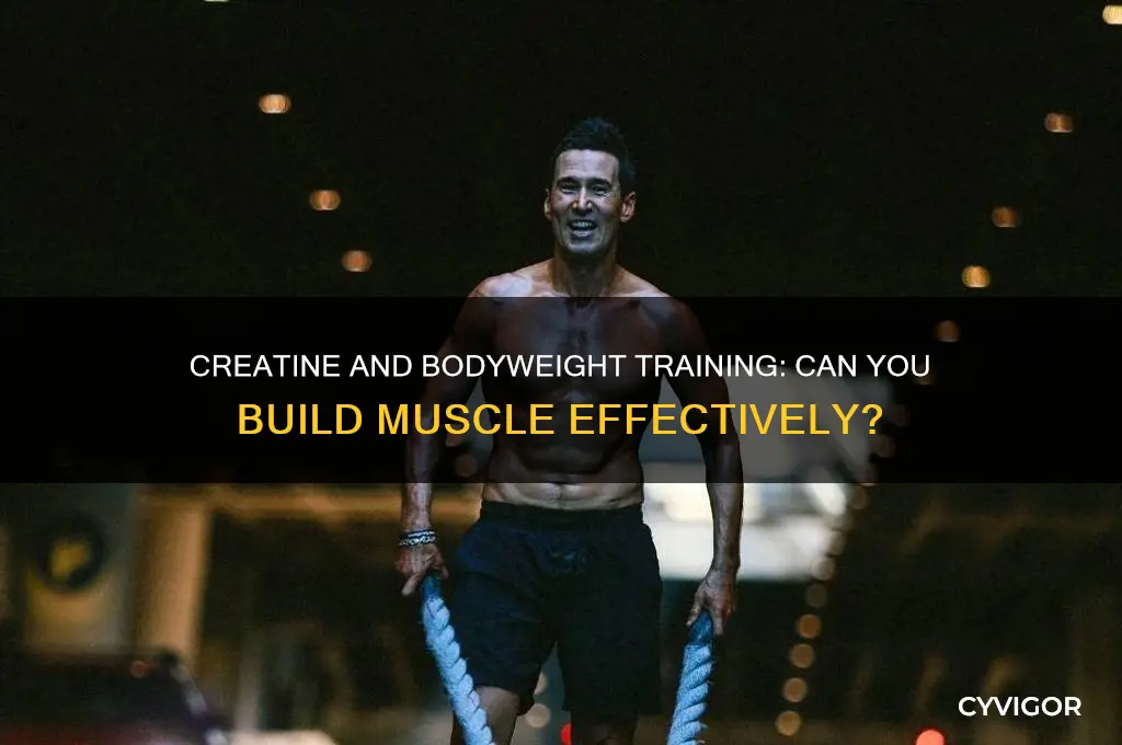 Creatine And Bodyweight Training: Can You Build Muscle Effectively ...