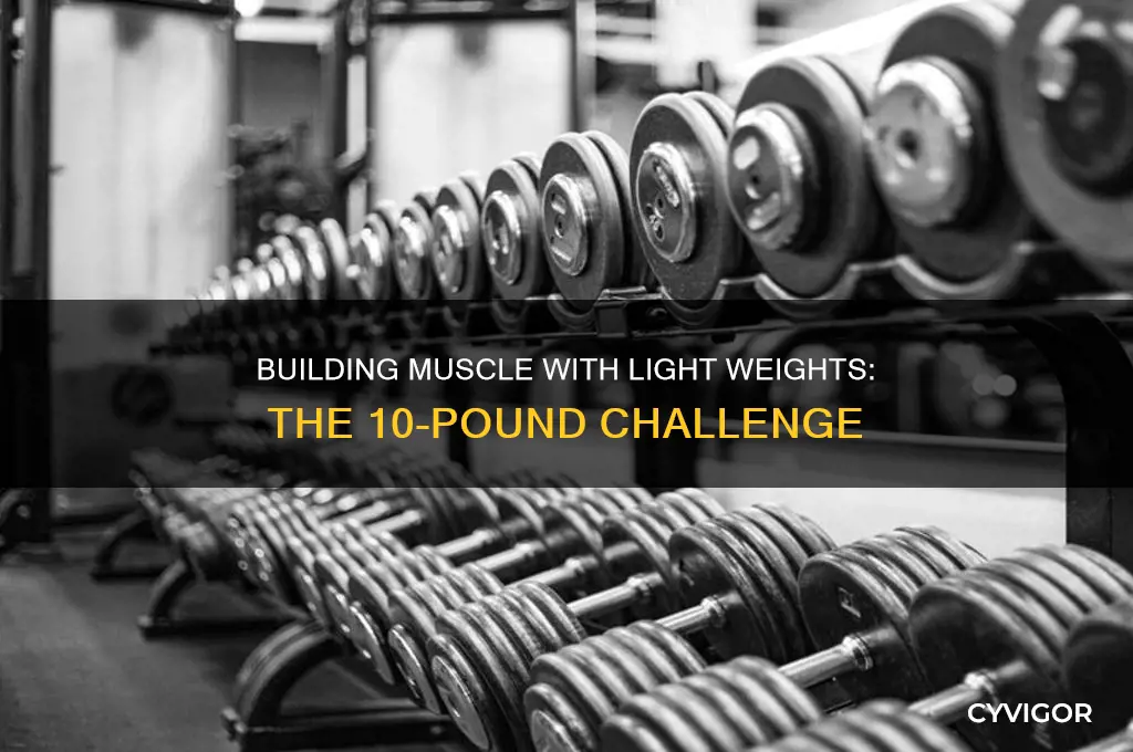 Building Muscle With Light Weights: The 10-Pound Challenge | CyVigor