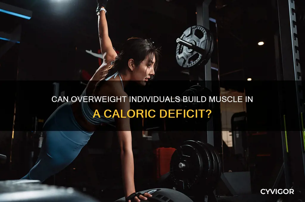 Can Overweight Individuals Build Muscle In A Caloric Deficit? | CyVigor