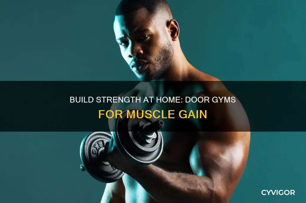 Build Strength At Home: Door Gyms For Muscle Gain | CyVigor