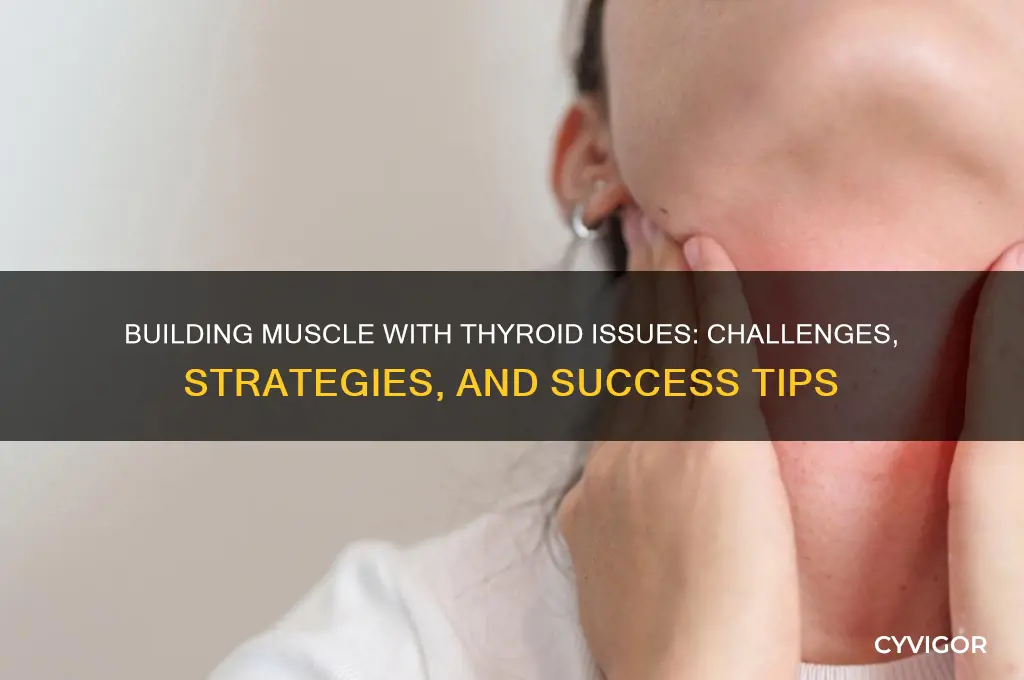 Building Muscle With Thyroid Issues: Challenges, Strategies, And ...