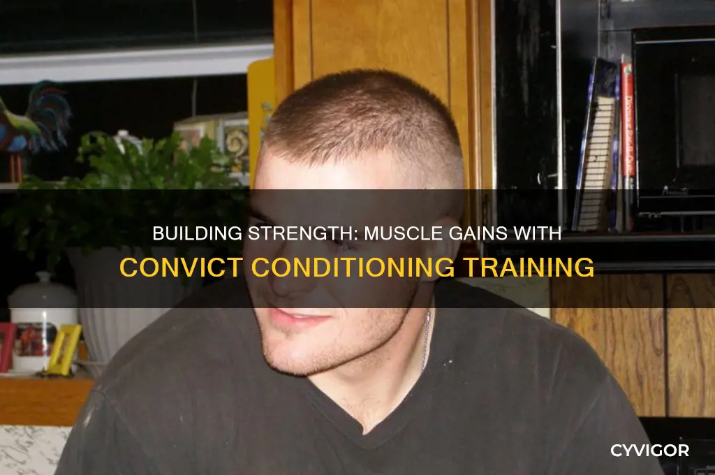 Building Strength: Muscle Gains With Convict Conditioning Training ...