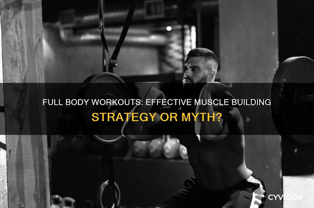 Full Body Workouts: Effective Muscle Building Strategy Or Myth? | CyVigor
