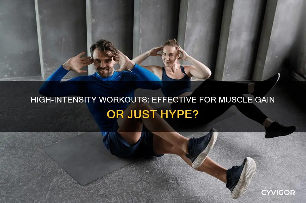 High-Intensity Workouts: Effective For Muscle Gain Or Just Hype? | CyVigor