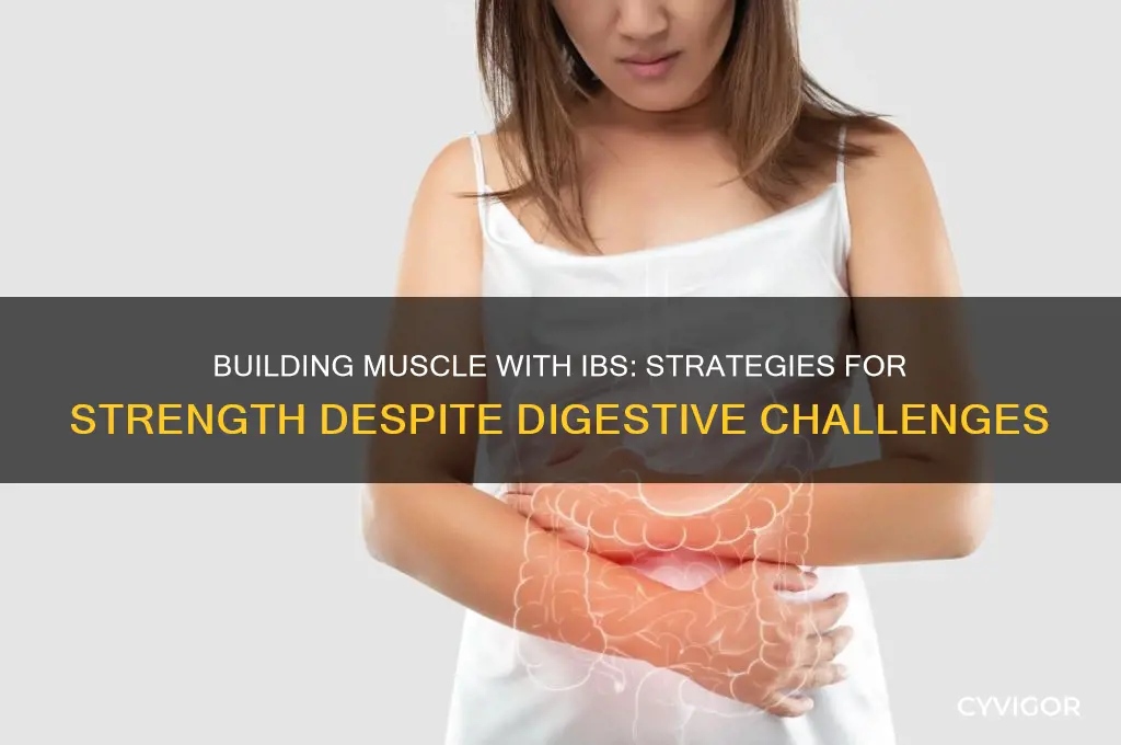 Building Muscle With Ibs: Strategies For Strength Despite Digestive ...