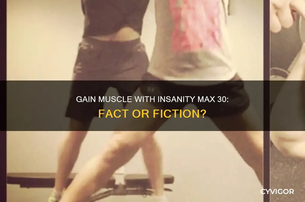 Gain Muscle With Insanity Max 30: Fact Or Fiction? | CyVigor