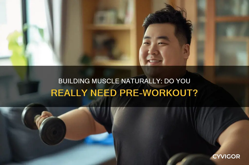 Building Muscle Naturally: Do You Really Need Pre-Workout? | CyVigor