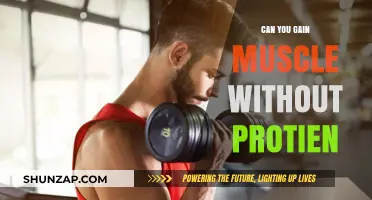 Building Muscle: Is Working Out 3 Times Weekly Enough? | CyVigor