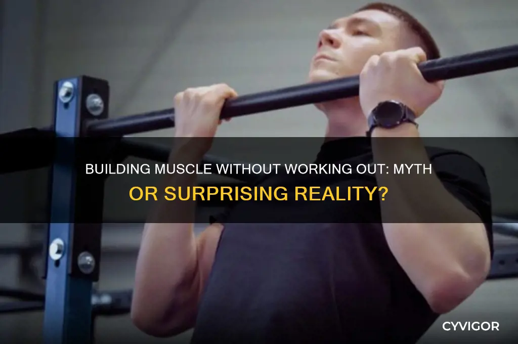 Building Muscle Without Working Out: Myth Or Surprising Reality? | CyVigor