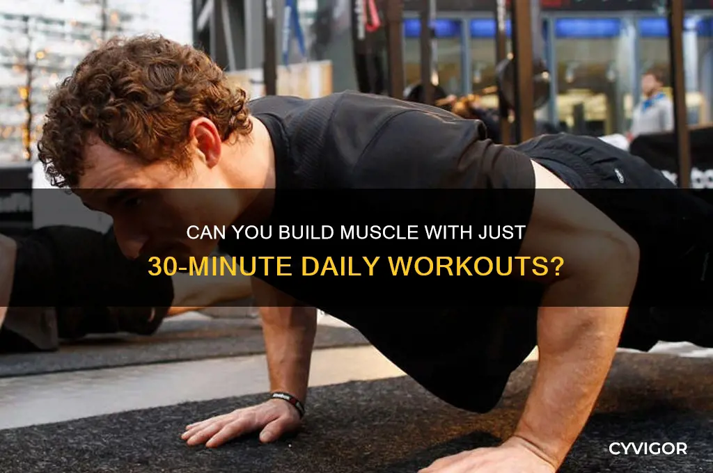 Can You Build Muscle With Just 30-Minute Daily Workouts? | CyVigor