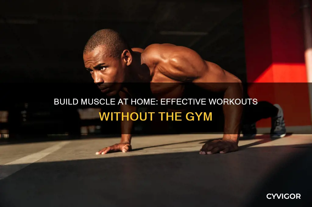Build Muscle At Home: Effective Workouts Without The Gym | CyVigor