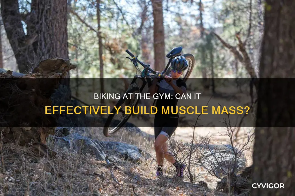 Biking At The Gym: Can It Effectively Build Muscle Mass? | CyVigor
