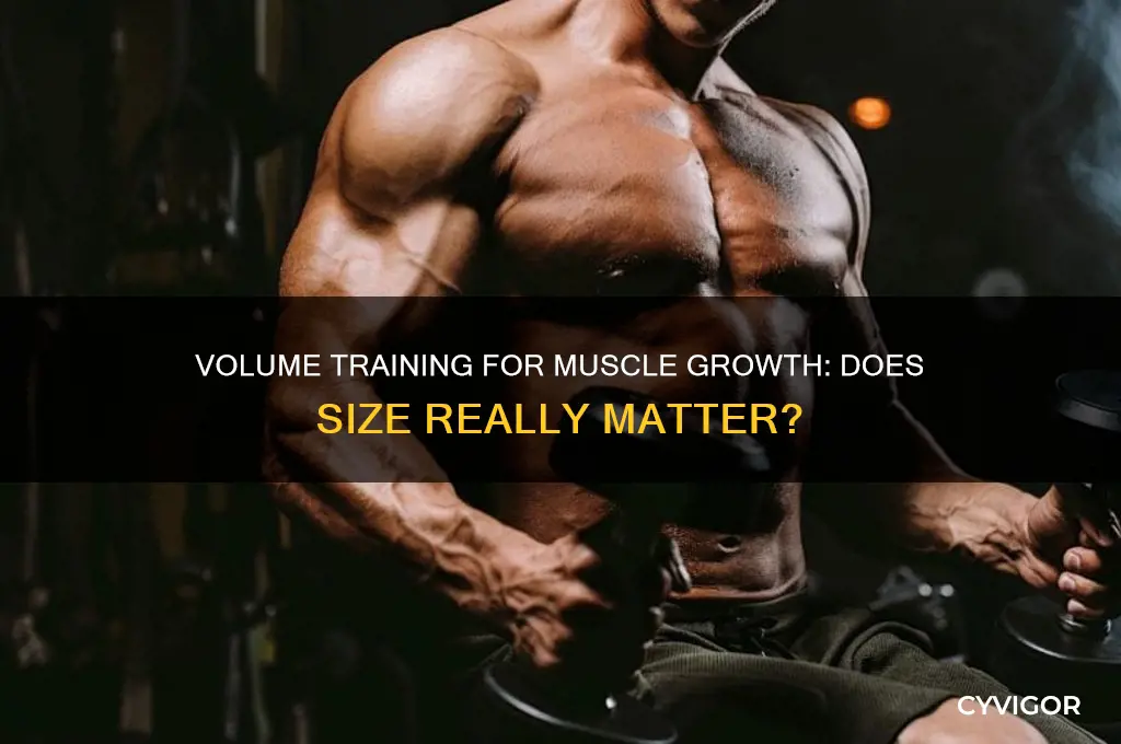 Volume Training For Muscle Growth: Does Size Really Matter? | CyVigor