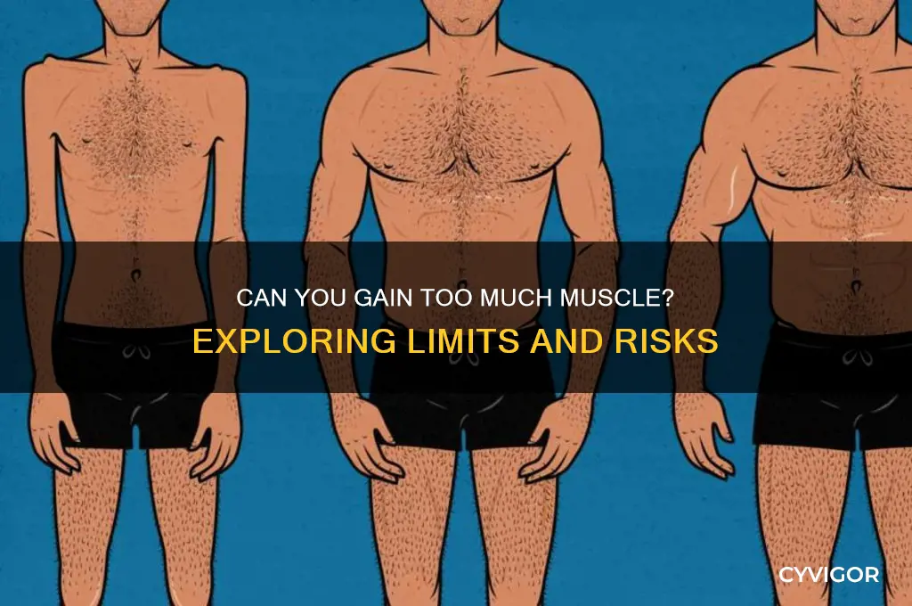 Can You Gain Too Much Muscle? Exploring Limits And Risks | CyVigor