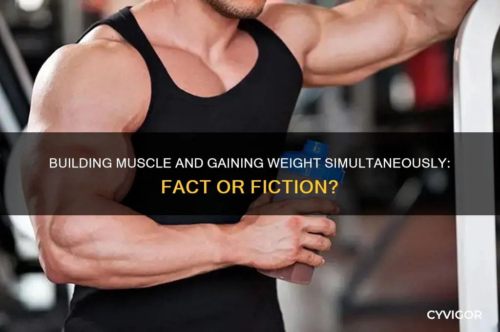 Building Muscle And Gaining Weight Simultaneously: Fact Or Fiction ...