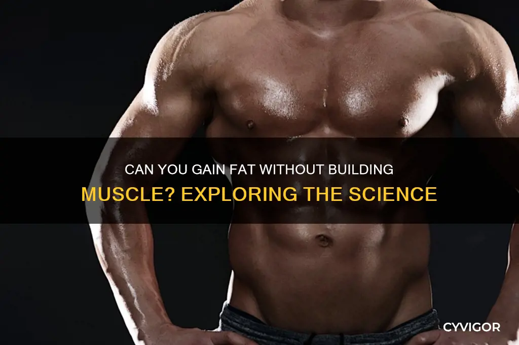 Can You Gain Fat Without Building Muscle? Exploring The Science | CyVigor