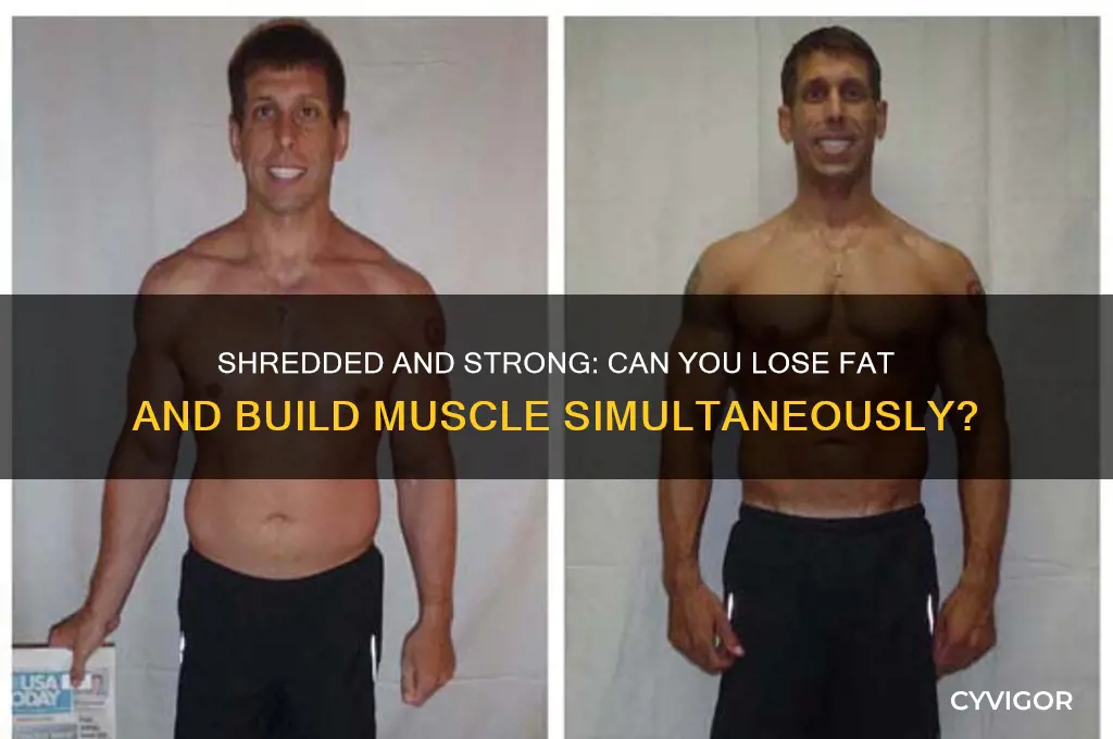 Shredded And Strong: Can You Lose Fat And Build Muscle Simultaneously ...