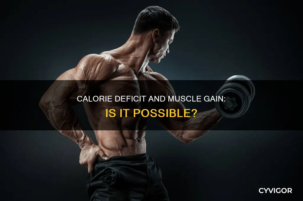 Calorie Deficit And Muscle Gain: Is It Possible? | CyVigor