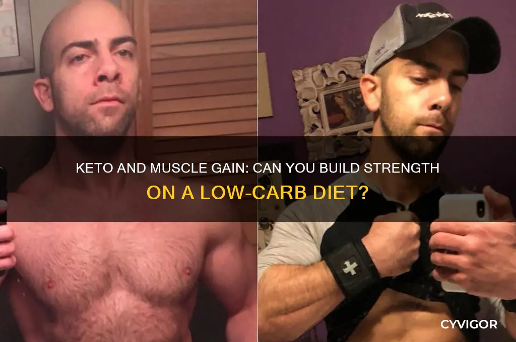 Keto And Muscle Gain: Can You Build Strength On A Low-Carb Diet? | CyVigor