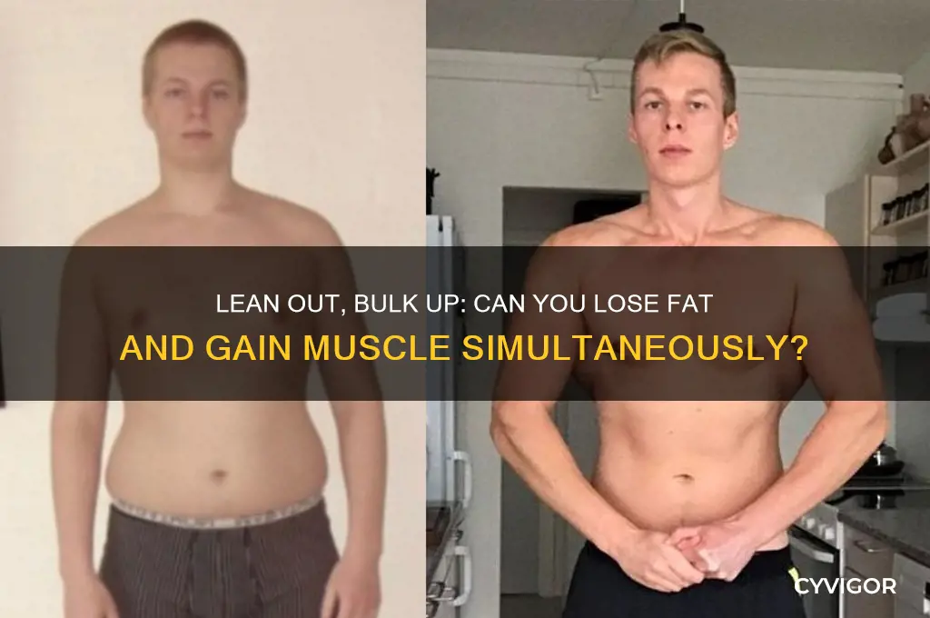 Lean Out, Bulk Up: Can You Lose Fat And Gain Muscle Simultaneously ...