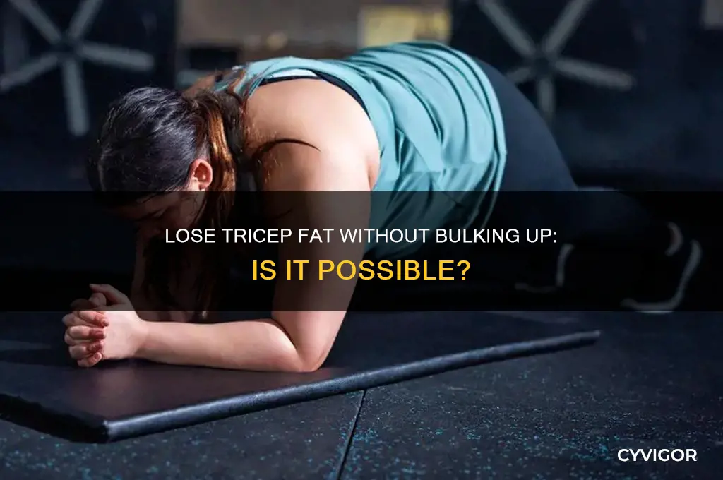 Lose Tricep Fat Without Bulking Up: Is It Possible? | CyVigor